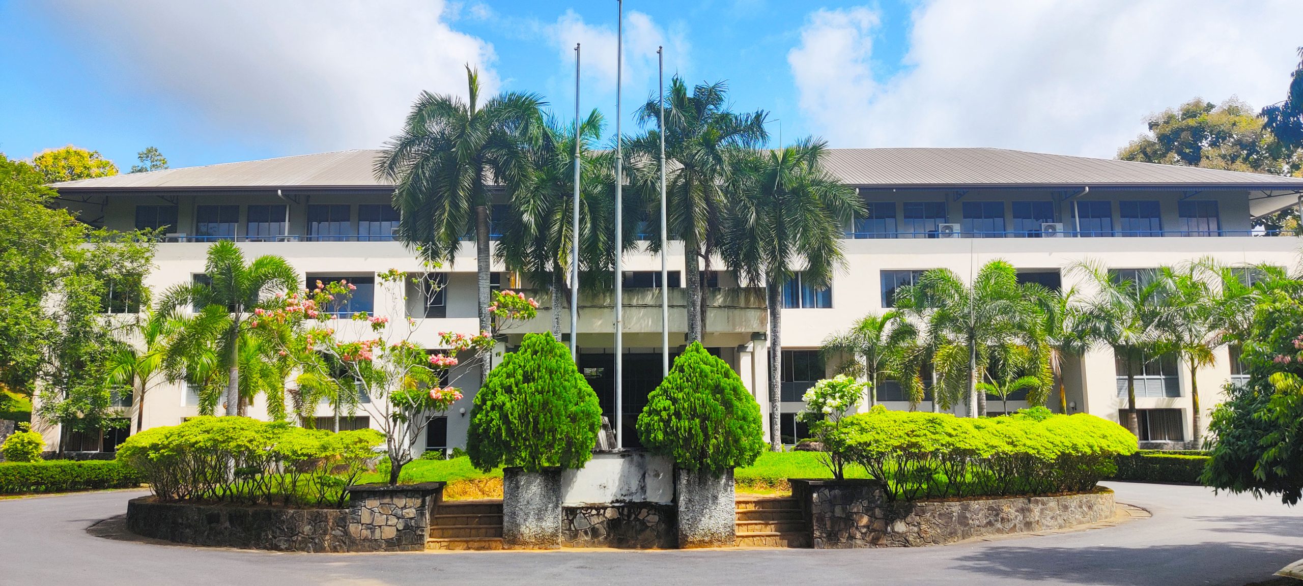 DIS – Department of Interdisciplinary Studies